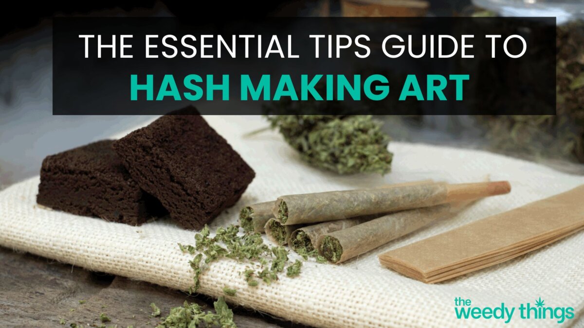 Essential Tips for Mastering the Art of Hash Making