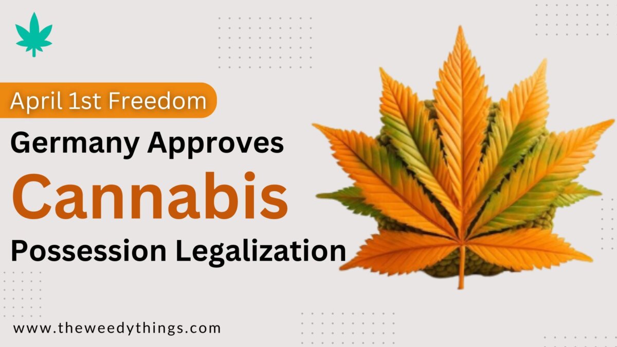 Germany Approves Cannabis Possession Legalization