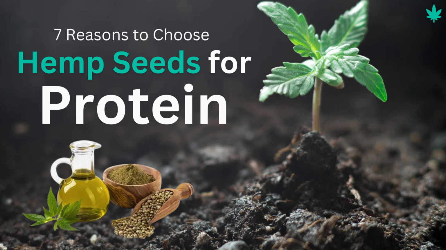 7 Reasons to Choose Hemp Seeds for Protein