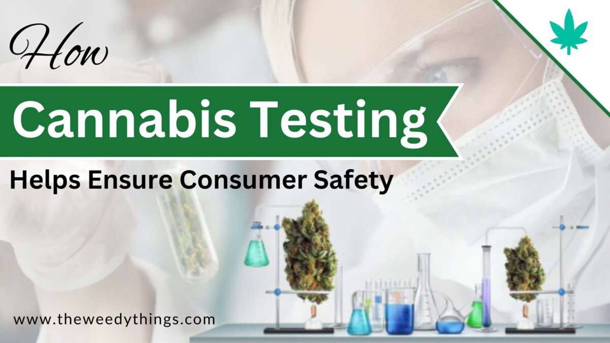 How Cannabis Testing Helps Ensure Consumer Safety