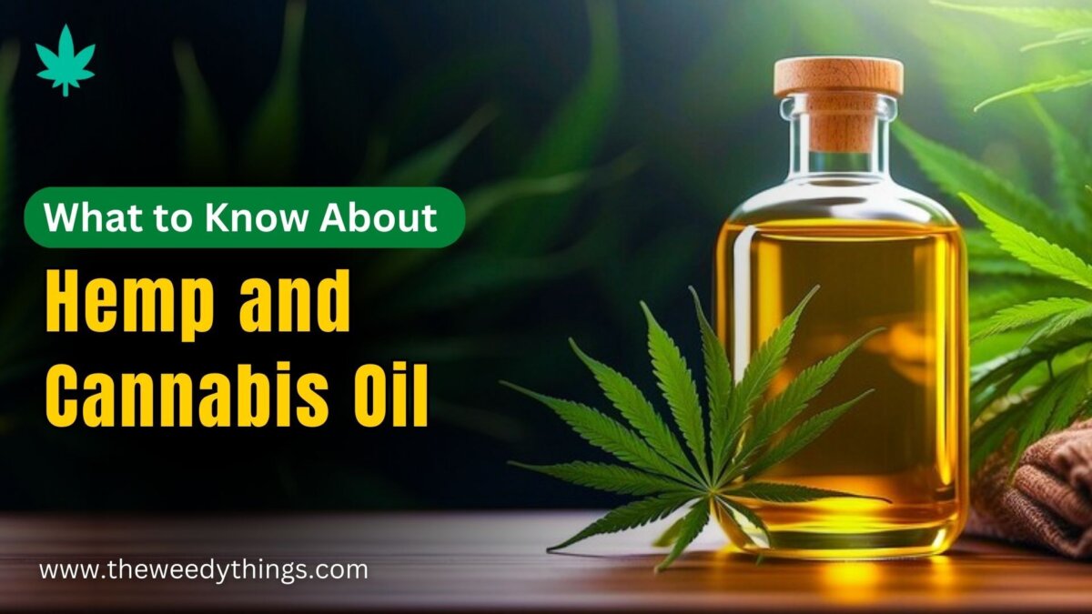 What to Know About Hemp and Cannabis Oil: Insights and Tips