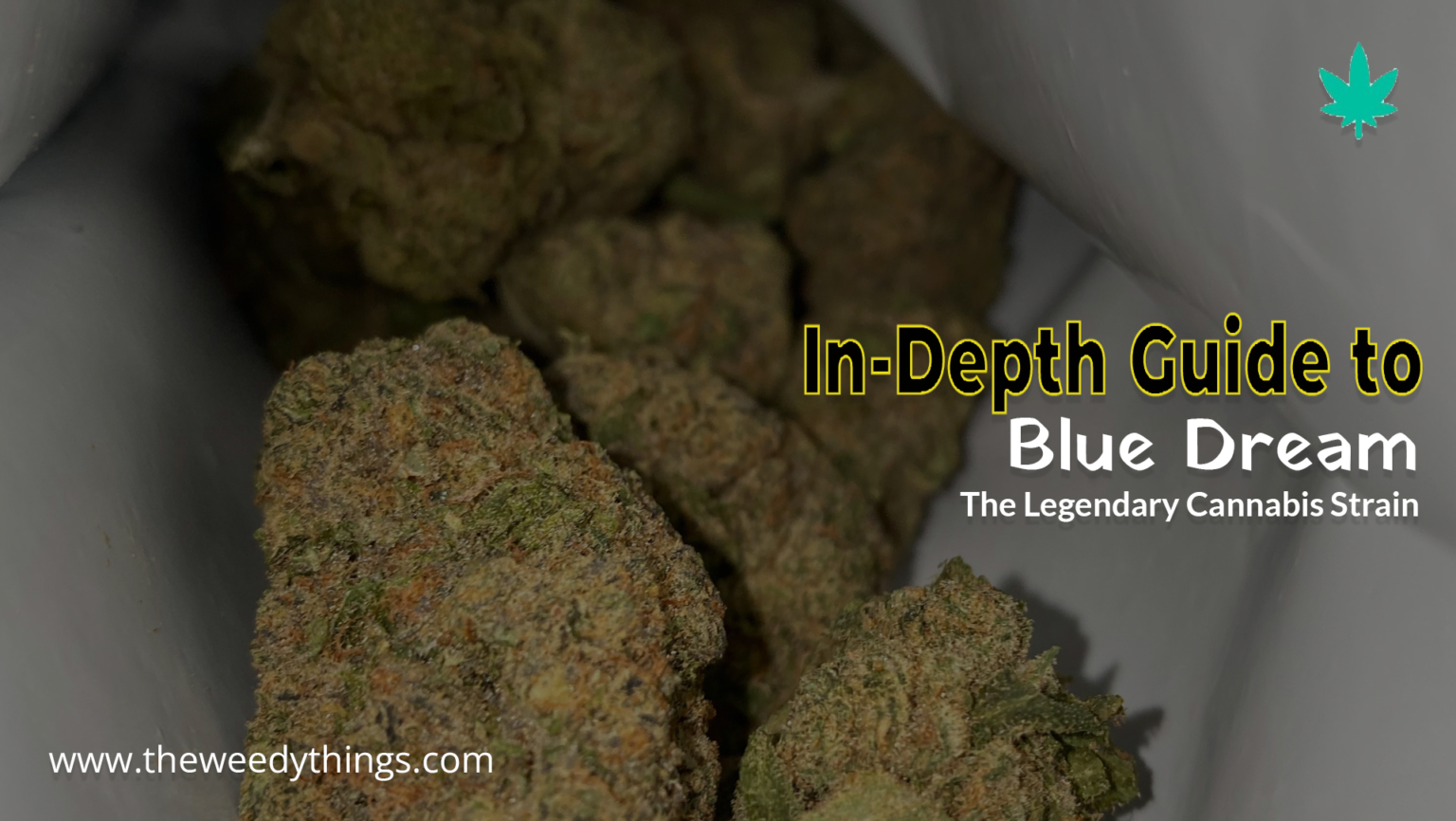 Blue Dream: Complete Guide to the Legendary Cannabis Strain